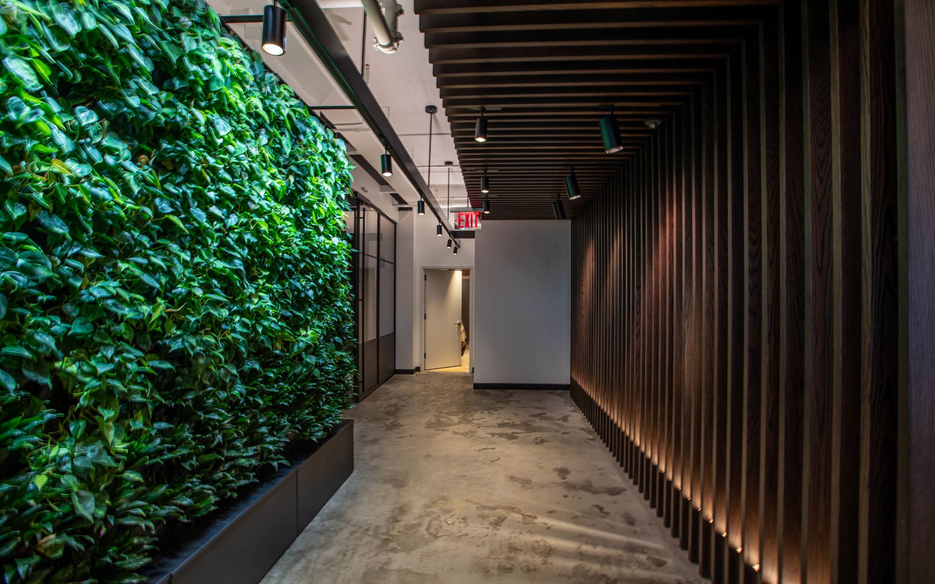 Cyrus Capital Partners - YPI